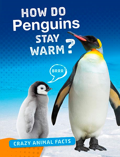 How Do Penguins Stay Warm? (Paperback) | Raintree