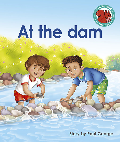 At the dam (Paperback) | Raintree