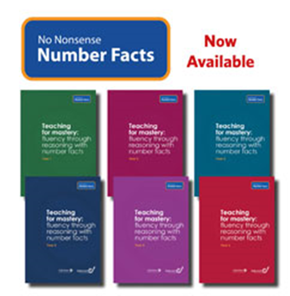 No Nonsense Number Facts (Paperback) | Raintree